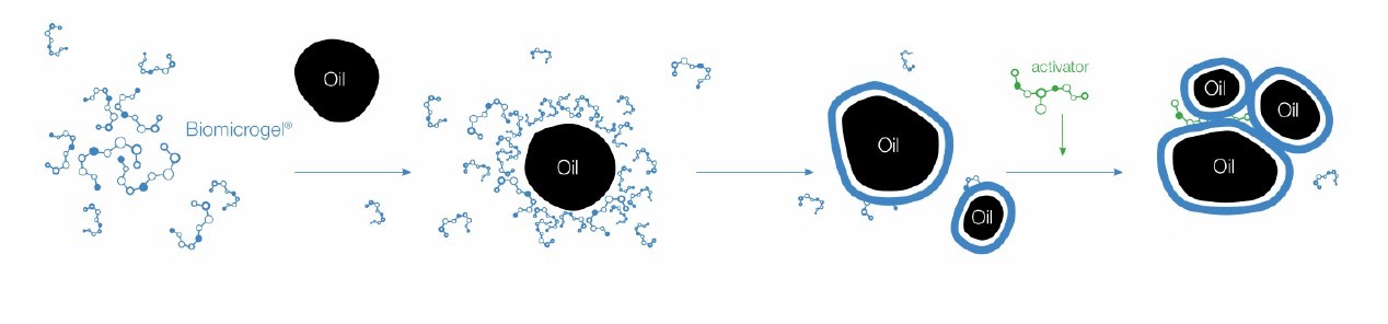 น้ำผสมน้ำมัน (Emulsion) - ECONOWATT