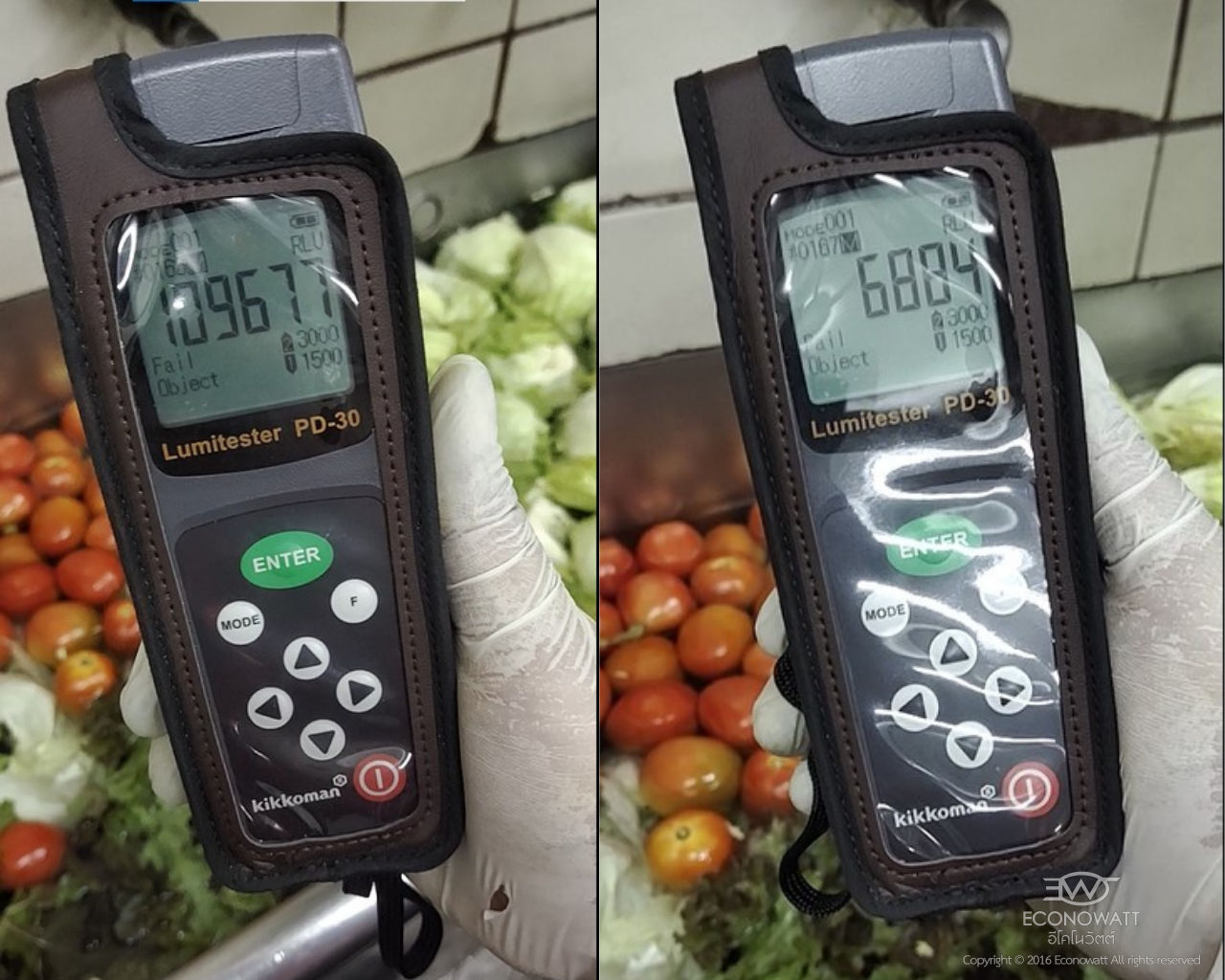 Food & Vegetable Washing Water - ECONOWATT